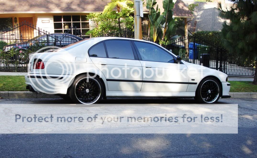 Rims for a White E39 | BMW Forum - BimmerFest BMW Forums