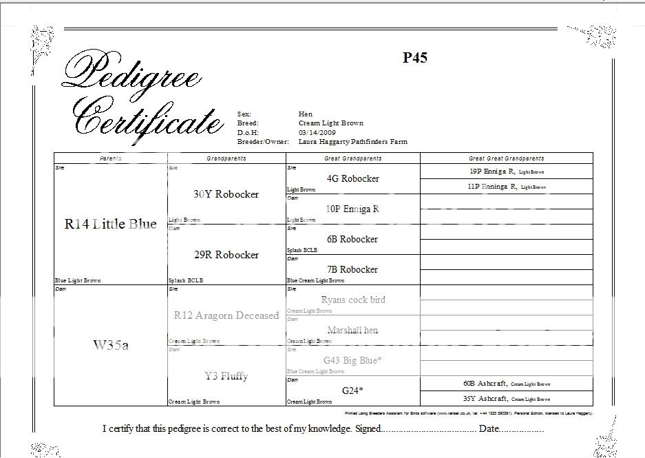Chicken Breeding "Pedigree" | BackYard Chickens - Learn How to Raise ...