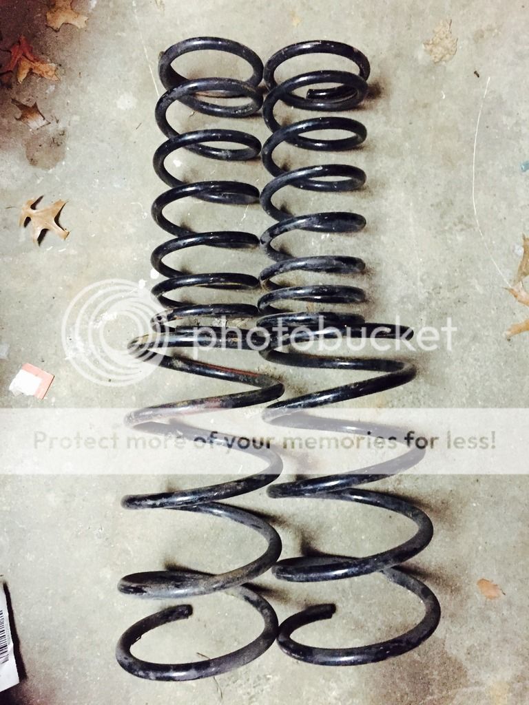 springs, spring perches svt | Focus Fanatics Forum